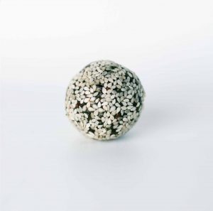 Fruity Spirulina Energy Ball - Bali Buda